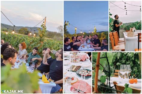 Kajak Mk On Linkedin Тим билдинг со дегустација на вино во винова лоза Кајак