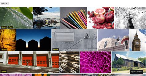 React Grid Gallery Examples CodeSandbox