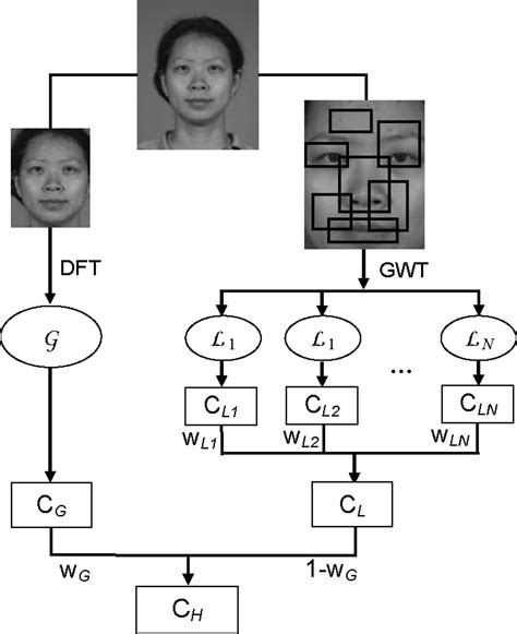 Paradigm Of The Hierarchical Ensemble Classifier Download Scientific
