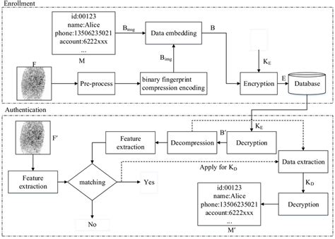 Fingerprint Authentication System Download Scientific Diagram