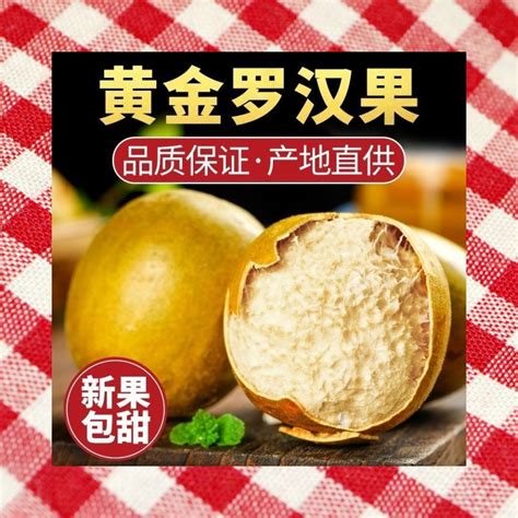 黃金羅漢果乾果批發正宗廣西桂林特產低溫脫水特大果泡花果茶 蝦皮購物