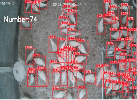 Poultry Monitoring Precision Poultry Farming