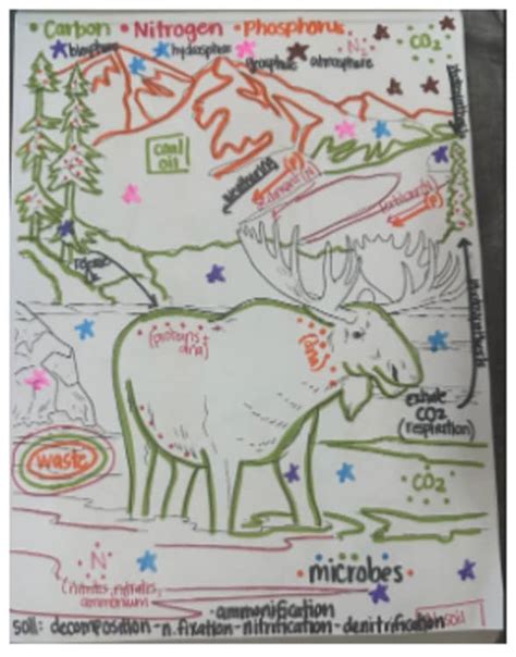 Cycles And Spheres In Color Biogeochemical Cycles Spheres Modeling Assessment