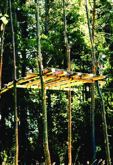 The First Treehouse Prototype Scale Model On Location Built Using Download Scientific Diagram