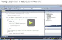 Basic Filtering Radgridview Telerik Ui For Winforms