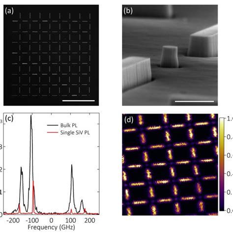 A Scanning Electron Microscopy Sem Image Of A Nanopillar Array