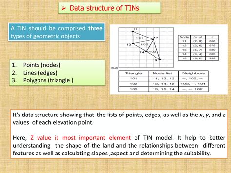 Vector Data Model Topology Tinpptx