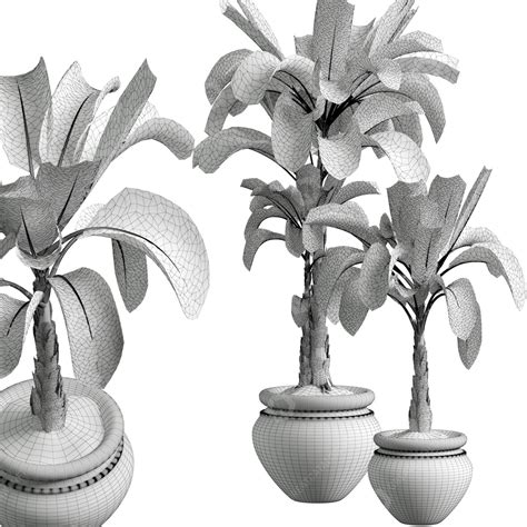 Растения в горшках 485 для помещений 3d модель Greatcatalog 46118