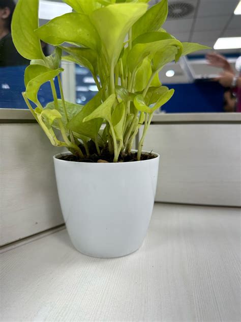 Sridhar Aluru On Linkedin Back In College I Never Thought I Would Be