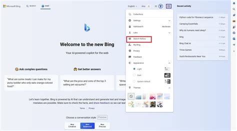 How To Delete Bing Ai Chat History