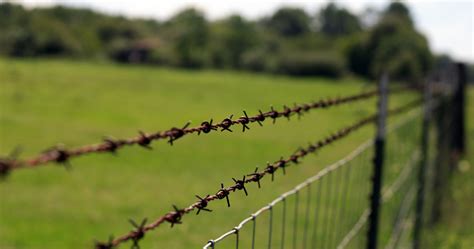 Barbed Wire Wikipedia 45 Off