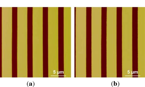 Figure 16 From Improving Atomic Force Microscopy Imaging By A Direct