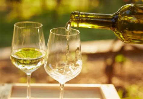 레드와 화이트 와인 어느 쪽이 더 몸에 더 안 좋을까