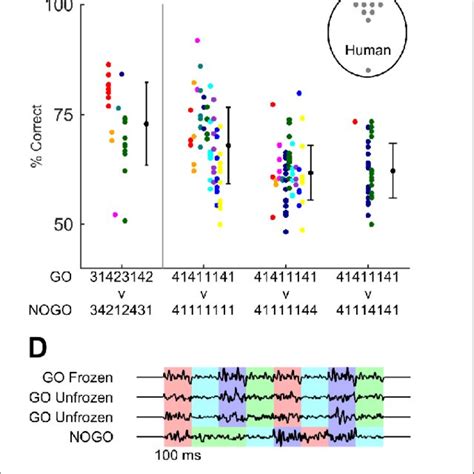 Design Of Sequence Recognition Task For Mice And Humans A Download Scientific Diagram