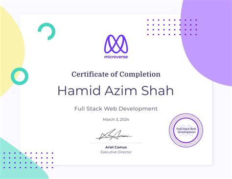 Webdeveloper Fullstackdeveloper Hamid Shah