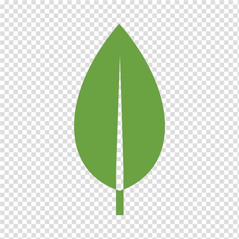 mongodb clipart 10 free cliparts download images on clipground 2024