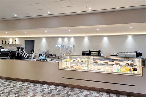 엔제리너스 다이닝 인기 1위 메뉴 프로슈토 크림 뇨끼