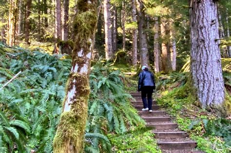 Hidden Logging Railroad Secrets Of Oregons Coast Range Touristsecrets