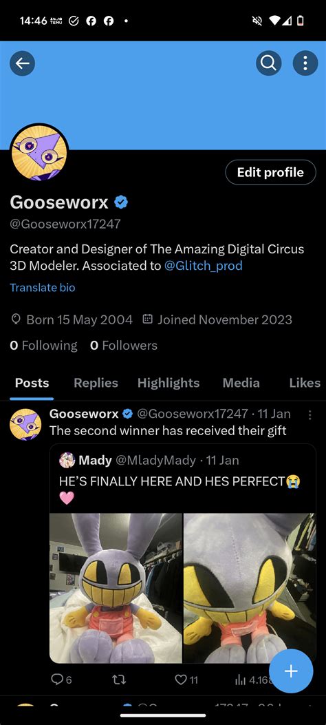 Im The Gooseworx Fake Account R Gooseworx