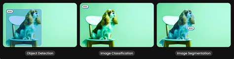 Image Recognition Demystified Algorithms And Applications