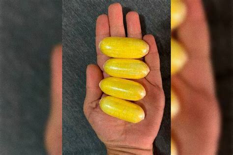 Pf Busca Líderes De Grupo Que Mandava Mulas Engolidas Para A Europa