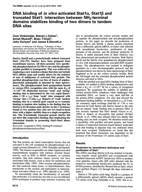 Dna Binding Of In Vitro Activated Stat1 Alpha Stat1 Beta And Truncated