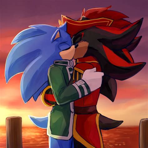 Sonic And Shadow Hugging In Front Of A Sunset