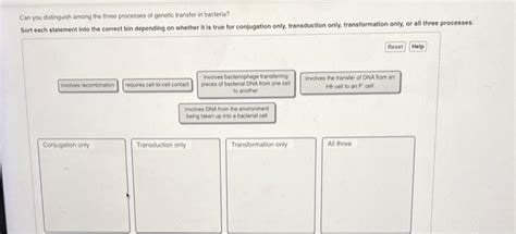 Solved Can You Distinguish Among The Three Processes Of
