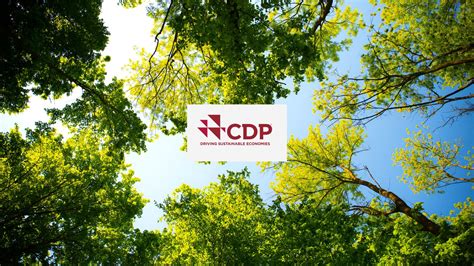 Financial Institutions Managing 142 Trillion Demand Enhanced Climate