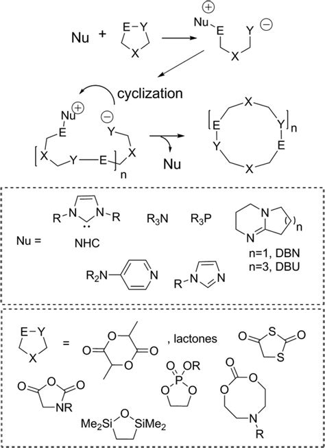Recent Progress On The Synthesis Of Cyclic Polymers Via Ringexpansion Strategies Chang