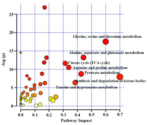 Metabolic Pathway Analysis Based On Differentiated Metabolites From Nmr Download Scientific
