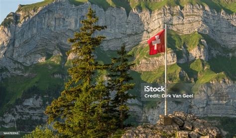 높은 산에서 스위스 국기의 전망 배경에 알프슈타인 산 아펜첼러란트 고산 산과 소나무를 배경으로 합니다 0명에 대한 스톡 사진 및 기타 이미지 Istock
