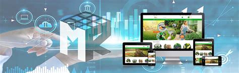 magento 2 themes