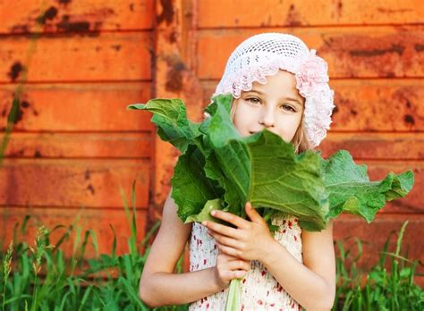 აგარაკზე ფეხშიშველა დავდივარ ოროვანდი ტერფების დახეთქვისგან გიხსნით სასარგებლო რჩევები