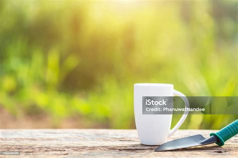 아침 시간에 햇빛이 들어오는 나무 테이블에 커피 책 정원 장비 한 잔 0명에 대한 스톡 사진 및 기타 이미지 0명 공란 교육 Istock