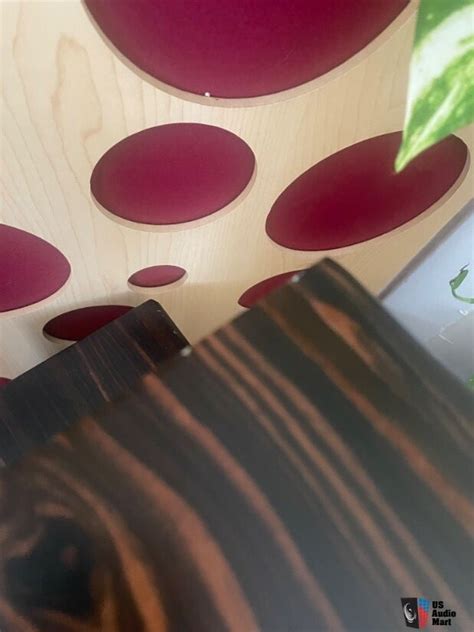 Sonics Allegra By Joachim Gerhard Photo 5521700 Us Audio Mart