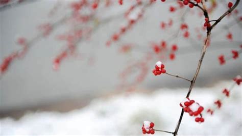 常用adb命令 知乎