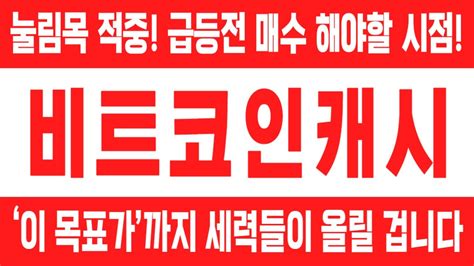 비트코인캐시 코인 눌림목 적중 급등전 매수 해야할 시점 ‘이 목표가까지 세력들이 올릴 겁니다 Youtube