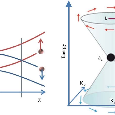 The Formation Of Spin Polarized 2d Dirac Fermions Soc Is Increasing Download Scientific