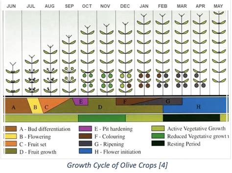 Data Science Internship Telecom Sud Paris 4 Months By Ayushtankha Jul 2024 Medium
