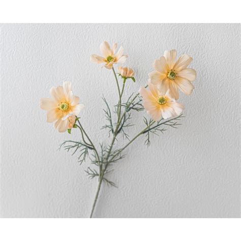 พร้อมส่ง ดอกคอสมอส ดอกไม้ปลอม ดอกไม้แต่งบ้าน สไตส์เกาหลี Shopee Thailand