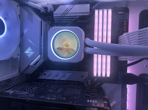 Accurately Represents My I7 11700k Lol R Corsair