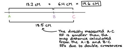Calculating Recombination Frequency Map Units