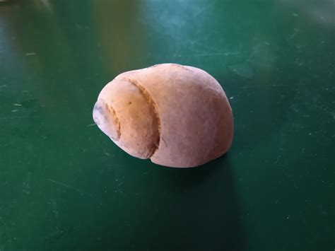 Fossil Snail KO Rural Mad As Hell Blog