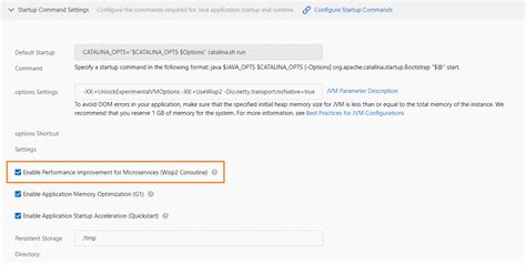 Configure Startup Acceleration For A Java Application Serverless App