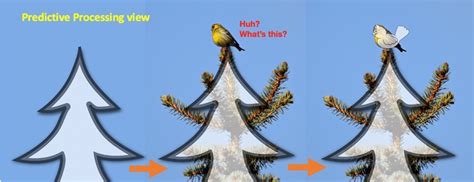 Predictive Processing The Grand Unifying Theory Of The Brain Mind