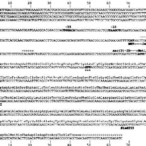 Dna Sequence Of The 1 106 Bp Sau3ai Fragment From P Aeruginosa Stone
