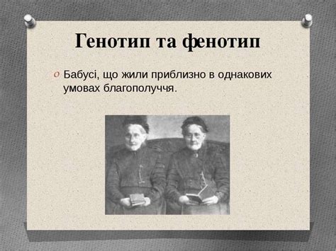 Генотипи і фенотипи презентація з біології