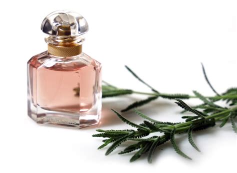 How To Wear Fragrance A Definitive Guide Mural Spotting