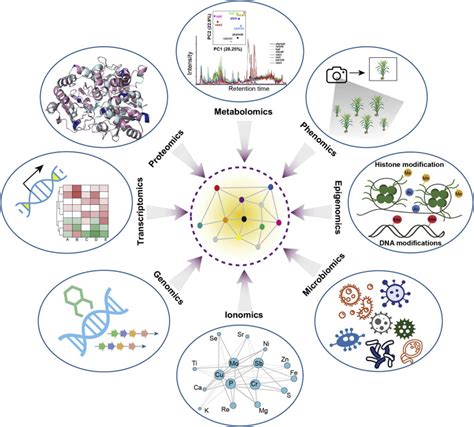 Metabolomics Centered Mining Of Plant Metabolic Diversity And Function Past Decade And Future